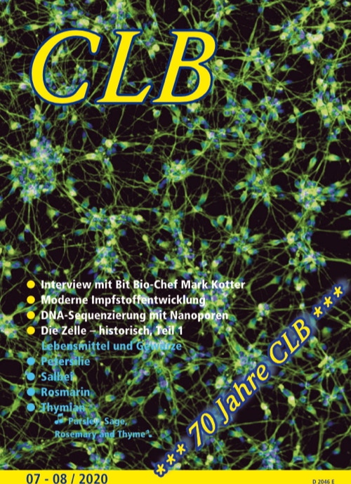 CLB ab 2020